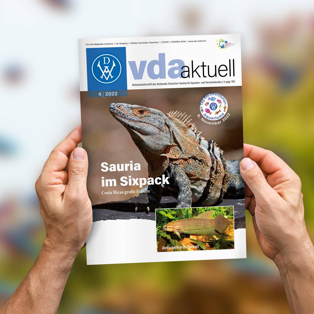 vda-aktuell - VDA-online