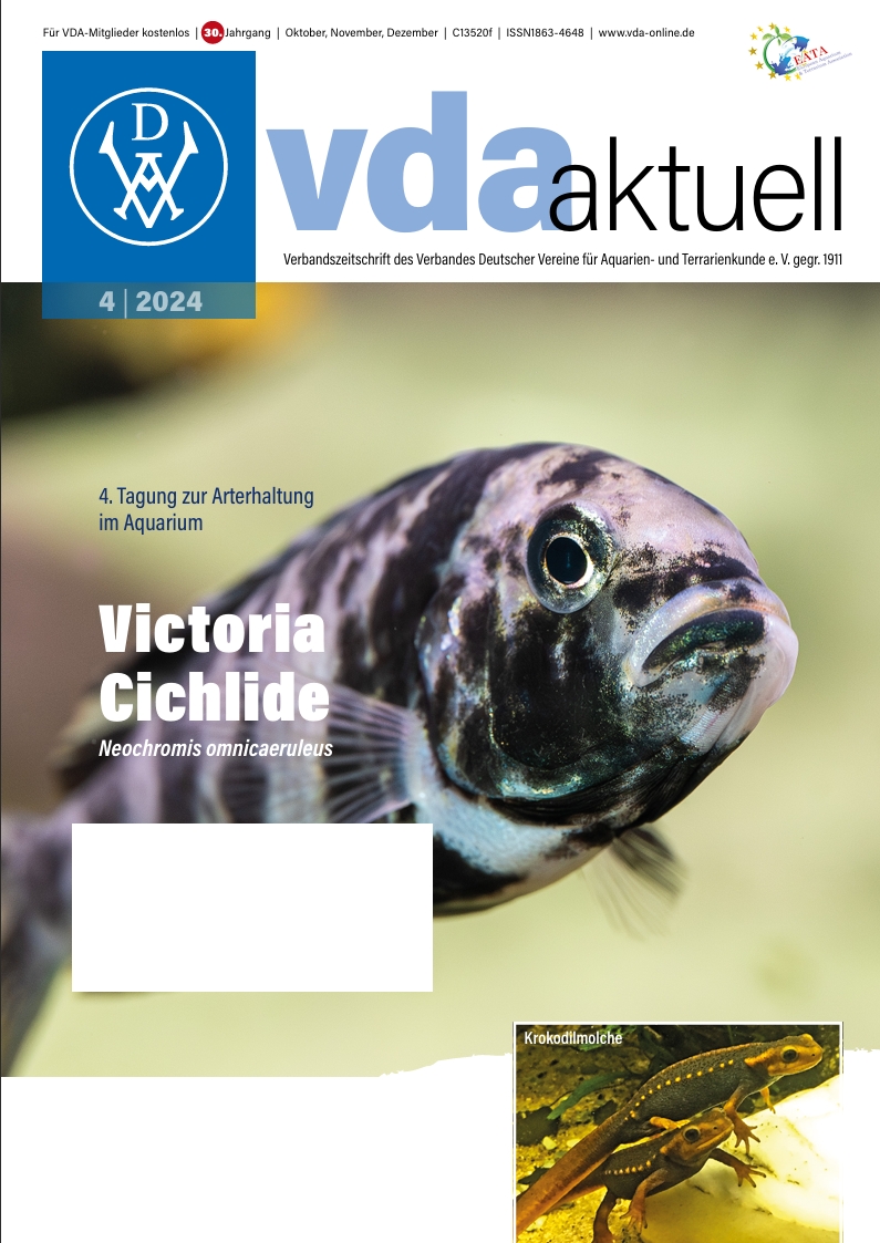 vda-aktuell 4/2024 - VDA-online